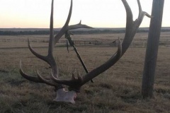 Hunting - Watrous Valley Ranch