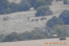 Hunting - Watrous Valley Ranch