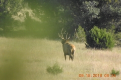 Hunting - Watrous Valley Ranch