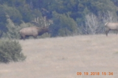 Hunting - Watrous Valley Ranch