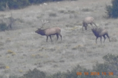 Hunting - Watrous Valley Ranch