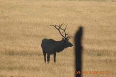 Hunting - Watrous Valley Ranch