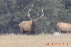 Hunting - Watrous Valley Ranch