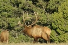 Hunting - Watrous Valley Ranch